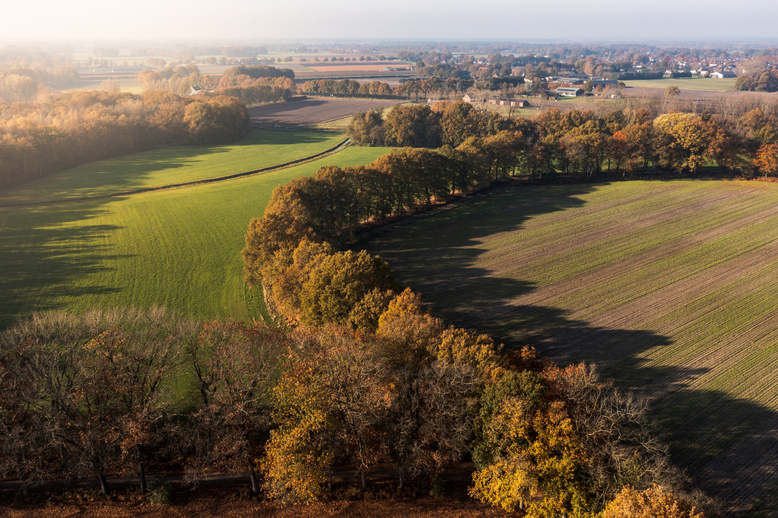 Natuur zonder Grenzen – Welkom in Natuurgrenspark De Groote Heide - VVV ...